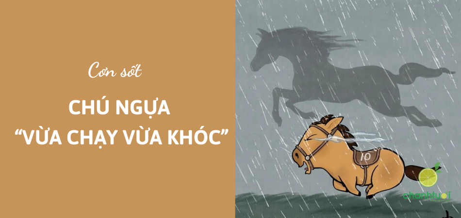 Giải mã hiện tượng chú ngựa vừa chạy vừa khóc Mã Tiểu Dã