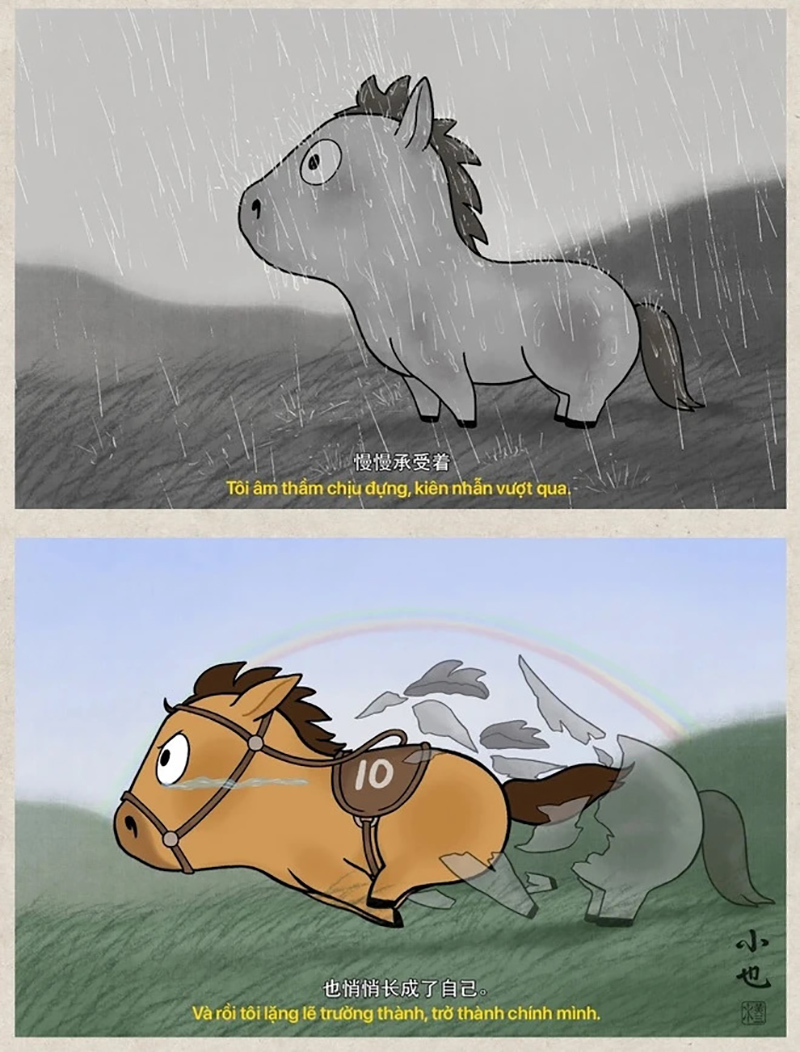 Giải mã hiện tượng chú ngựa vừa chạy vừa khóc Mã Tiểu Dã