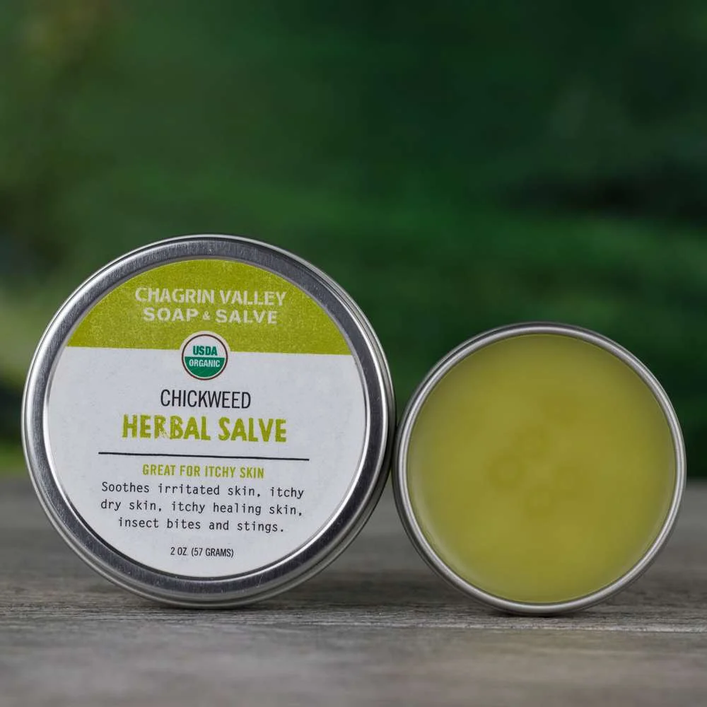 Chagrin Valley Soap & Salve Company Herbal Salve Chickweed